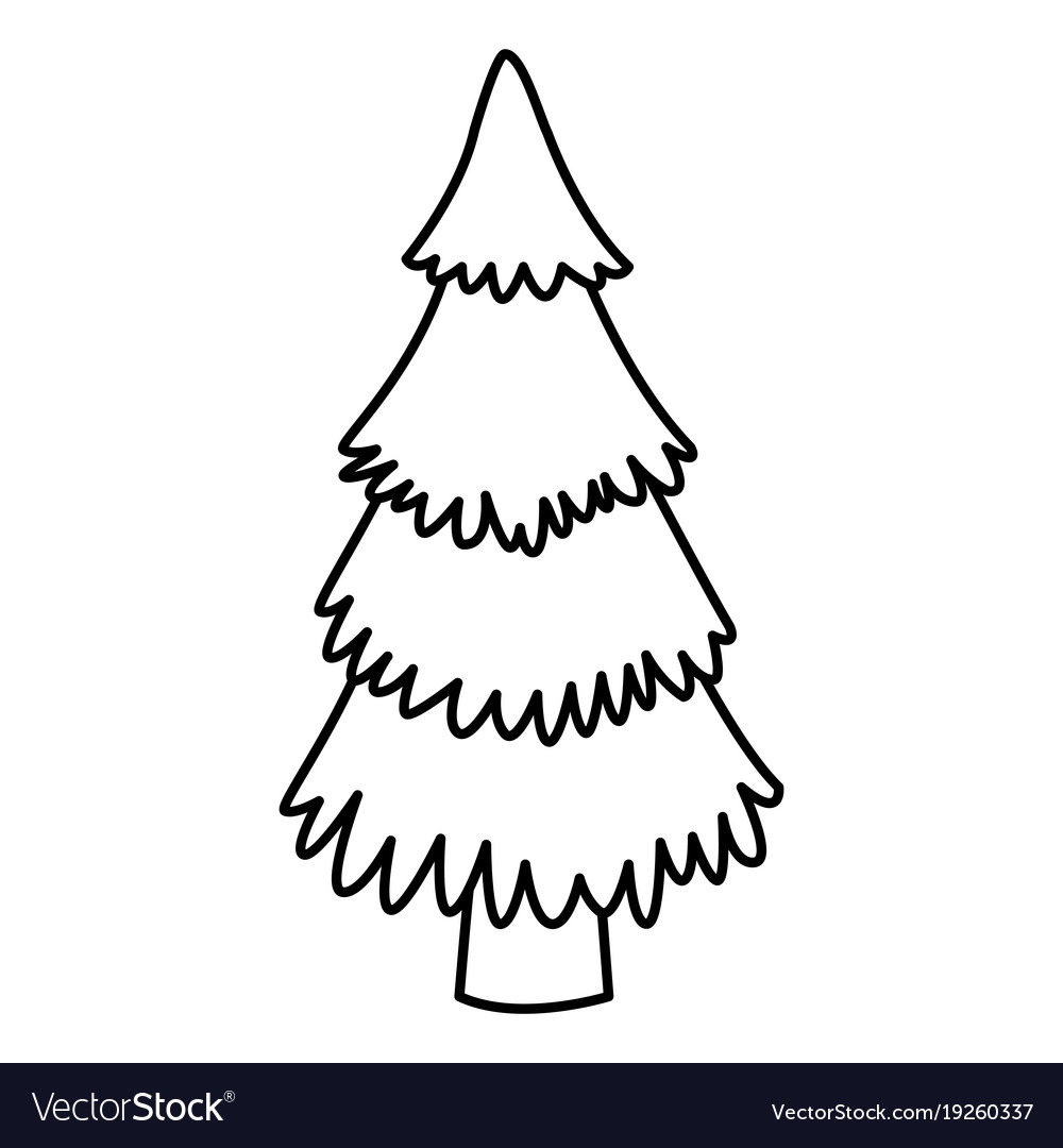 Tree pine isolated Royalty Free Vector Image - VectorStock