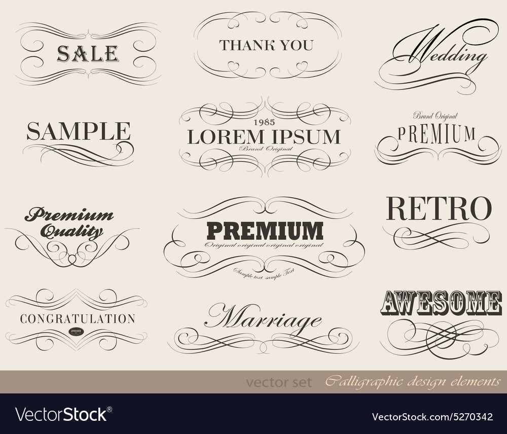 Calligraphic design elements Royalty Free Vector Image