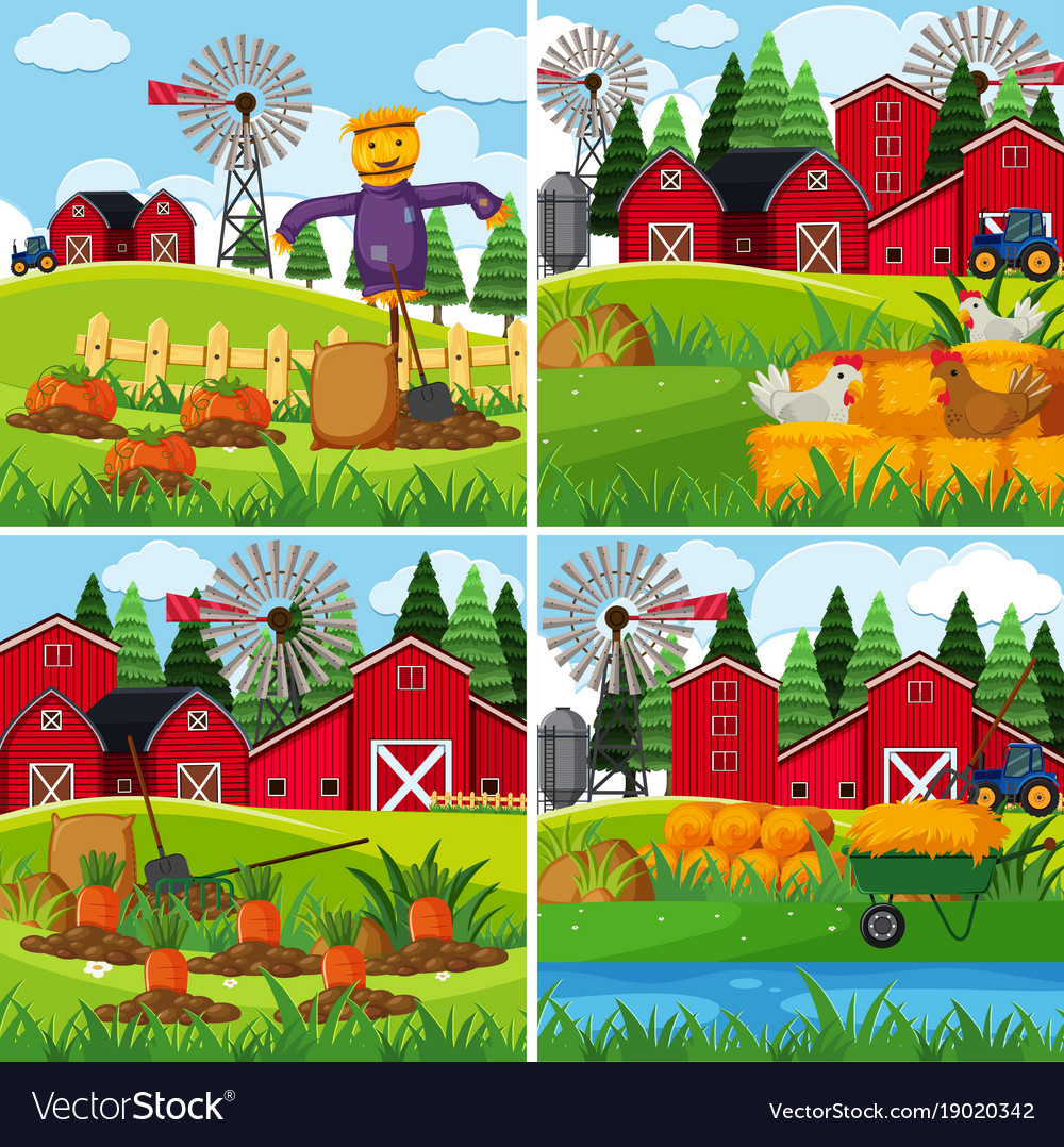 Fresh vegetables in farms Royalty Free Vector Image