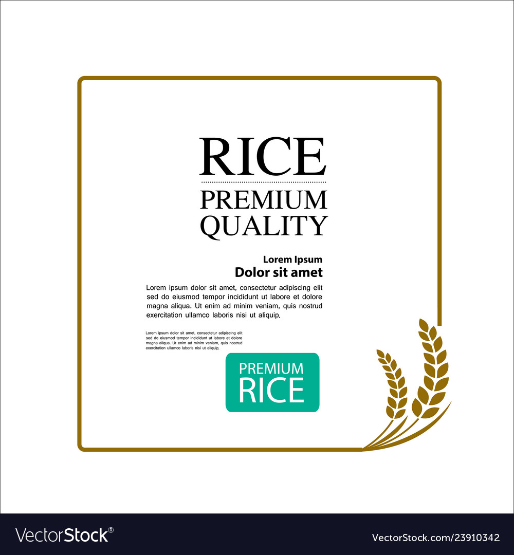 Premium rice great quality design concept Vector Image