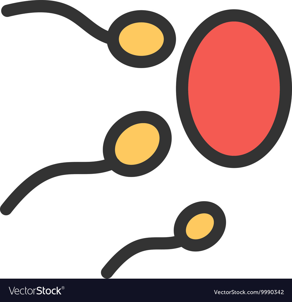 Sperm Royalty Free Vector Image - VectorStock