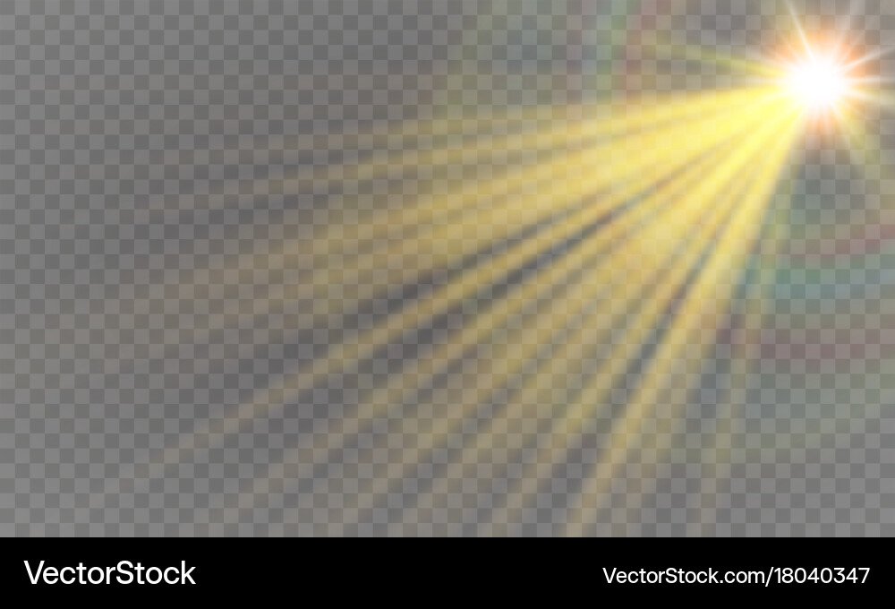 Abstract lens gold front solar flare transparent Vector Image