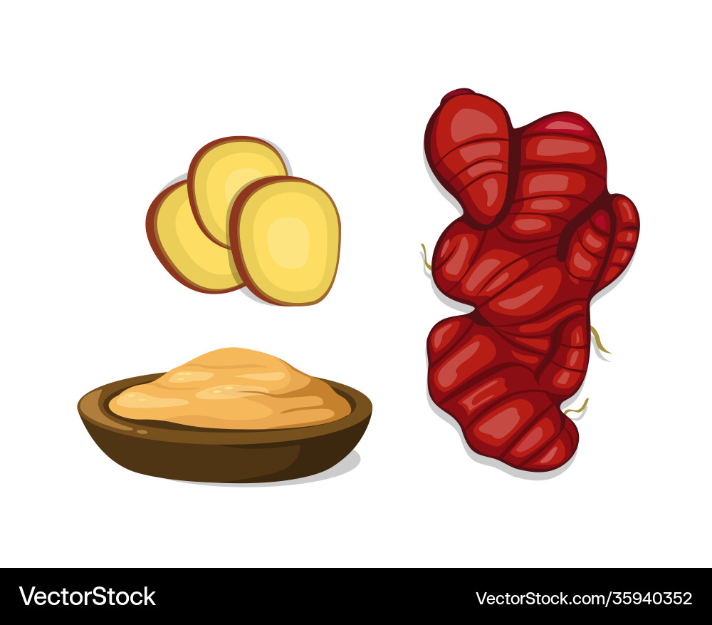 Red ginger herbal medicine symbol set Royalty Free Vector