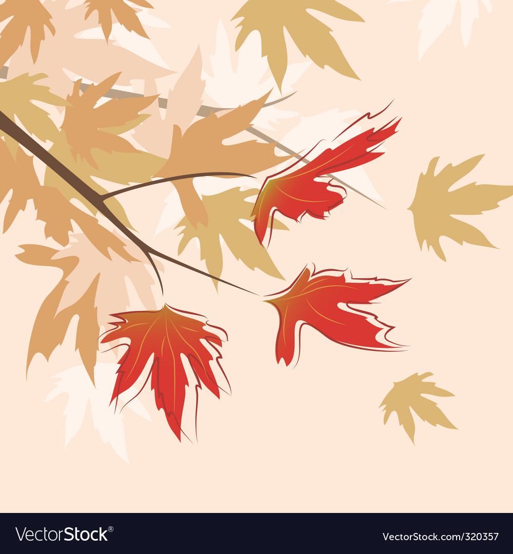 Leaf Royalty Free Vector Image - VectorStock