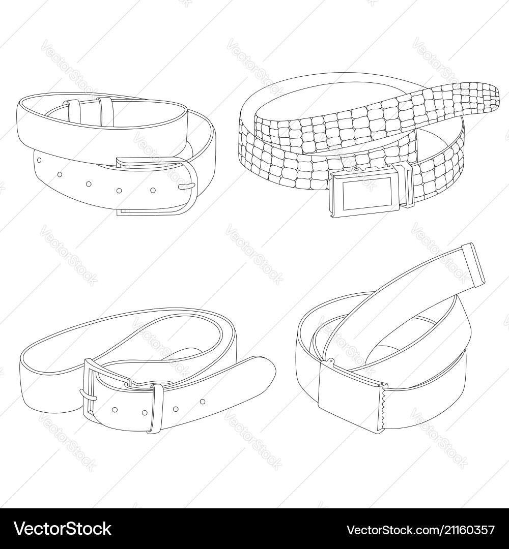 Set of different belts isolated on white Vector Image