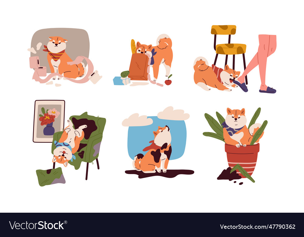 Dogs behavior problems set Royalty Free Vector Image