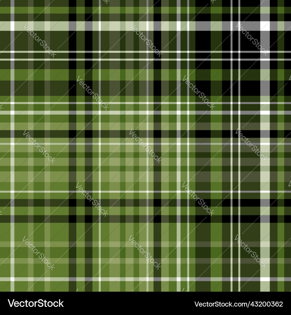 Seamless pattern in stylish green black and white Vector Image