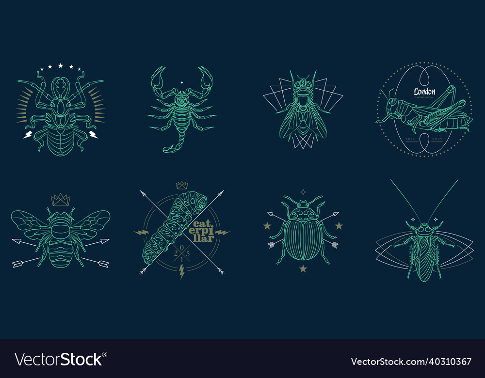 Abstract insects Royalty Free Vector Image - VectorStock