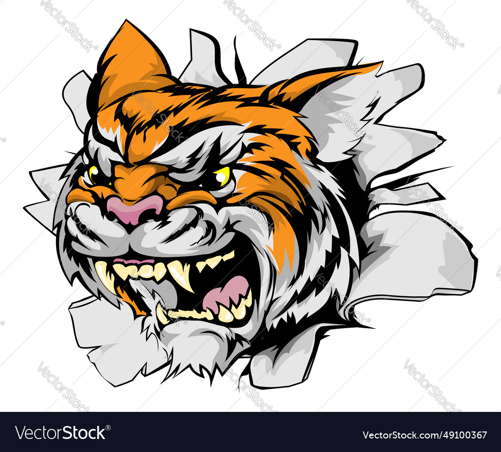 Attacking tiger head Royalty Free Vector Image