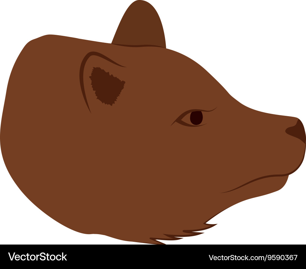 Bear cartoon icon animal design graphic Royalty Free Vector