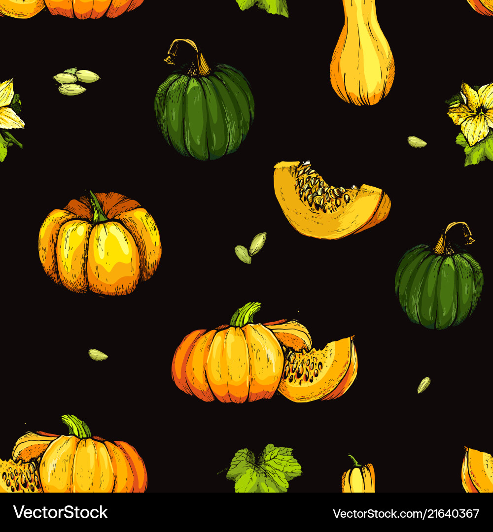 Colorful pumpkin sketch hand drawn Royalty Free Vector Image