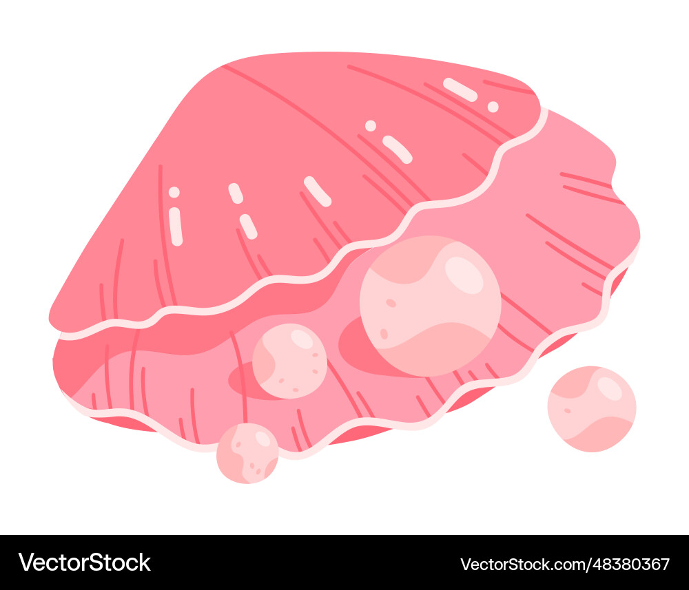 Scallop shell with pearls hand drawn seashell Vector Image