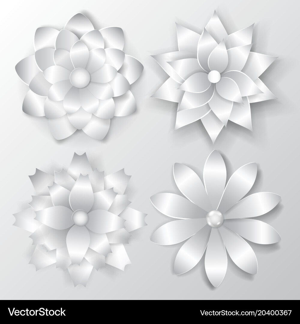 Set of paper flowers Royalty Free Vector Image