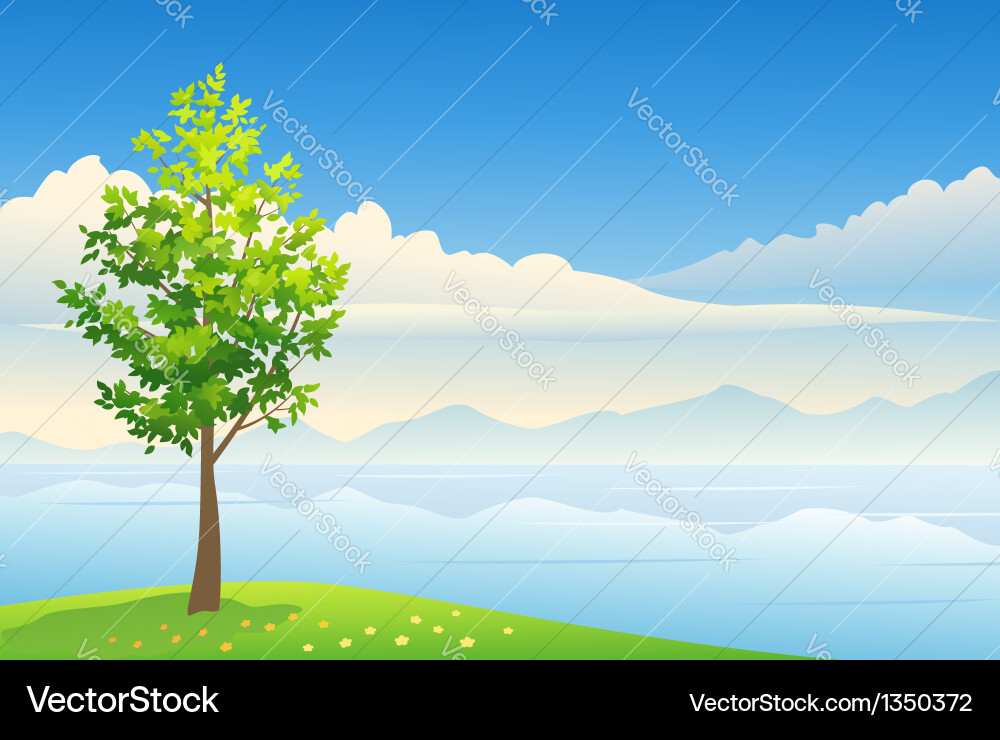 Summer tree background Royalty Free Vector Image