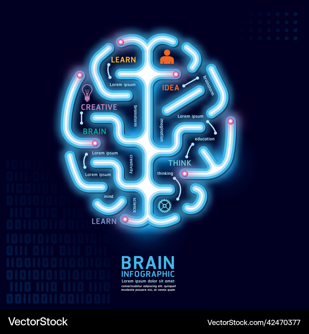 Brain infographic label template with icons neon Vector Image