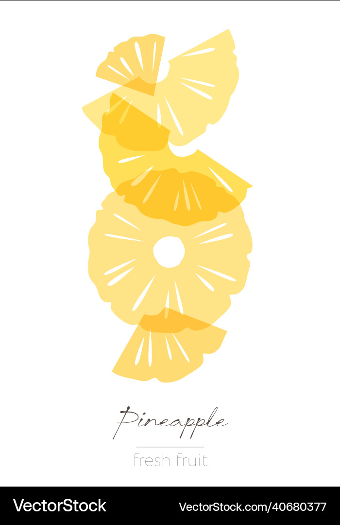 Pineapple fruits flat transparent Royalty Free Vector Image