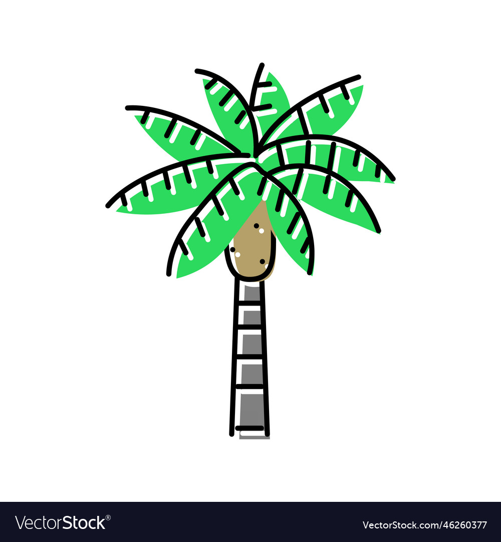 Queen palm tree color icon Royalty Free Vector Image Queen palm tree color icon Royalty Free Vector Image