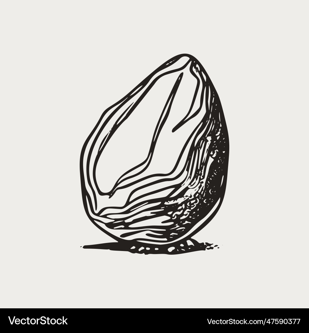 Vintage engraved stone - black and white Vector Image