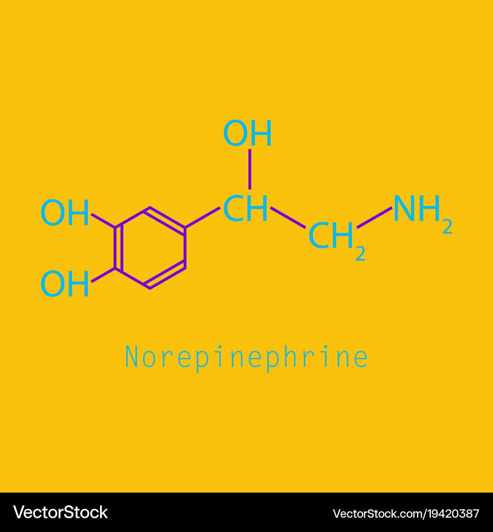 Norepinephrine noradrenaline norepi hormone Vector Image