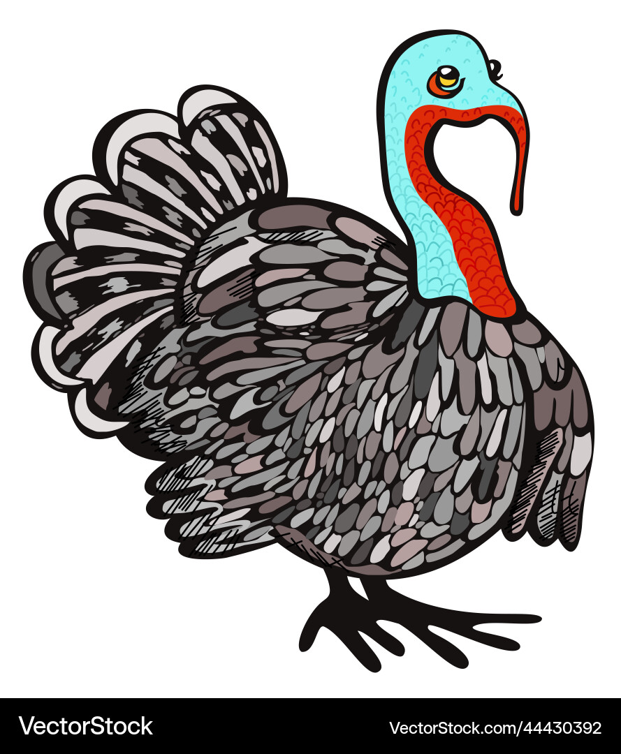 Isolated of turkey Royalty Free Vector Image - VectorStock