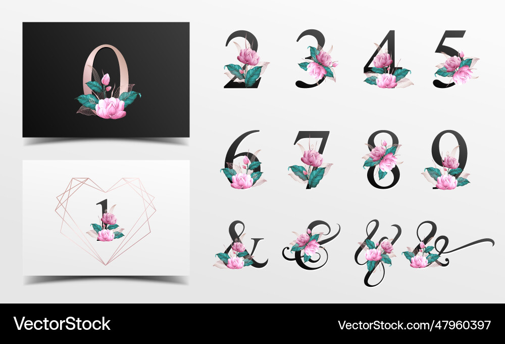 Beautiful alphabet number collection decorated Vector Image