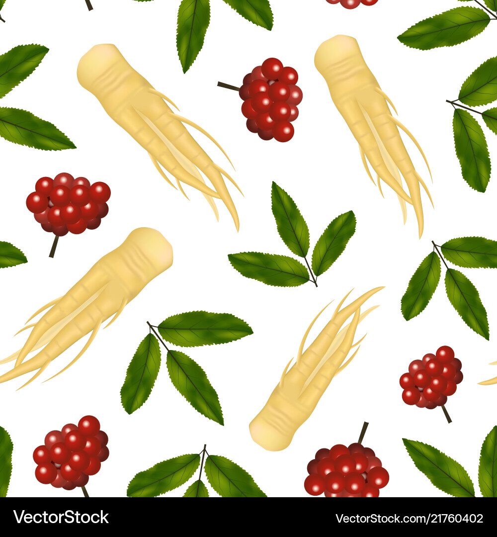 Realistic detailed 3d ginseng root and leaves Vector Image