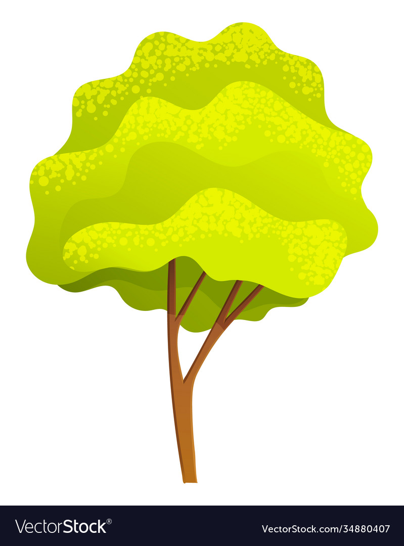 Green bright spring high tree with a lush crown Vector Image