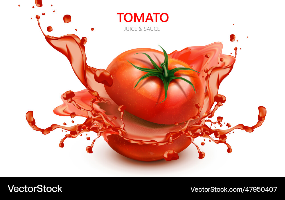 Sliced tomato with splashing juice Royalty Free Vector Image