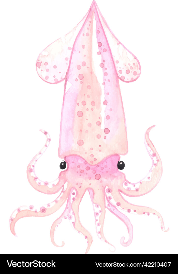 Squid watercolor for marine life Royalty Free Vector Image