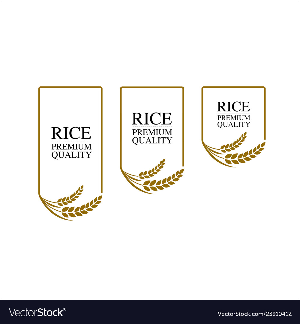 Premium rice great quality design concept Vector Image