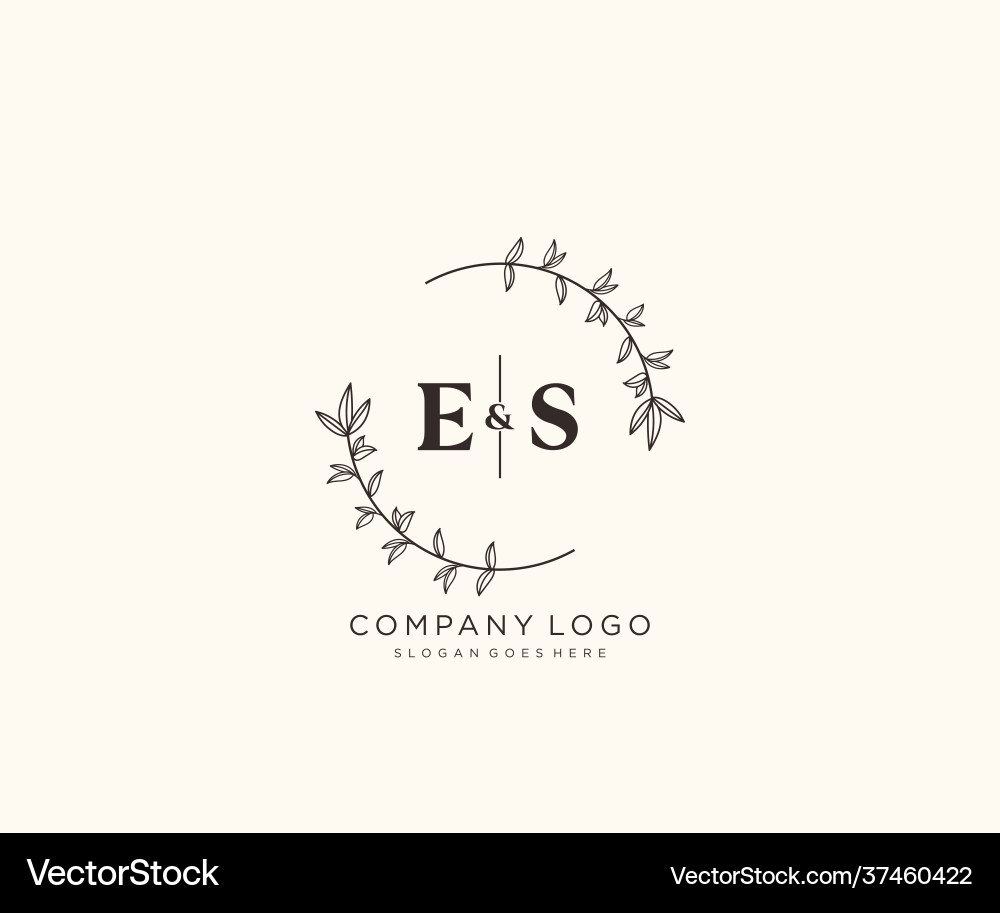 Initial es letters beautiful floral feminine Vector Image