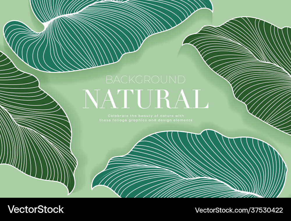 Nature background with green leaves copy Vector Image