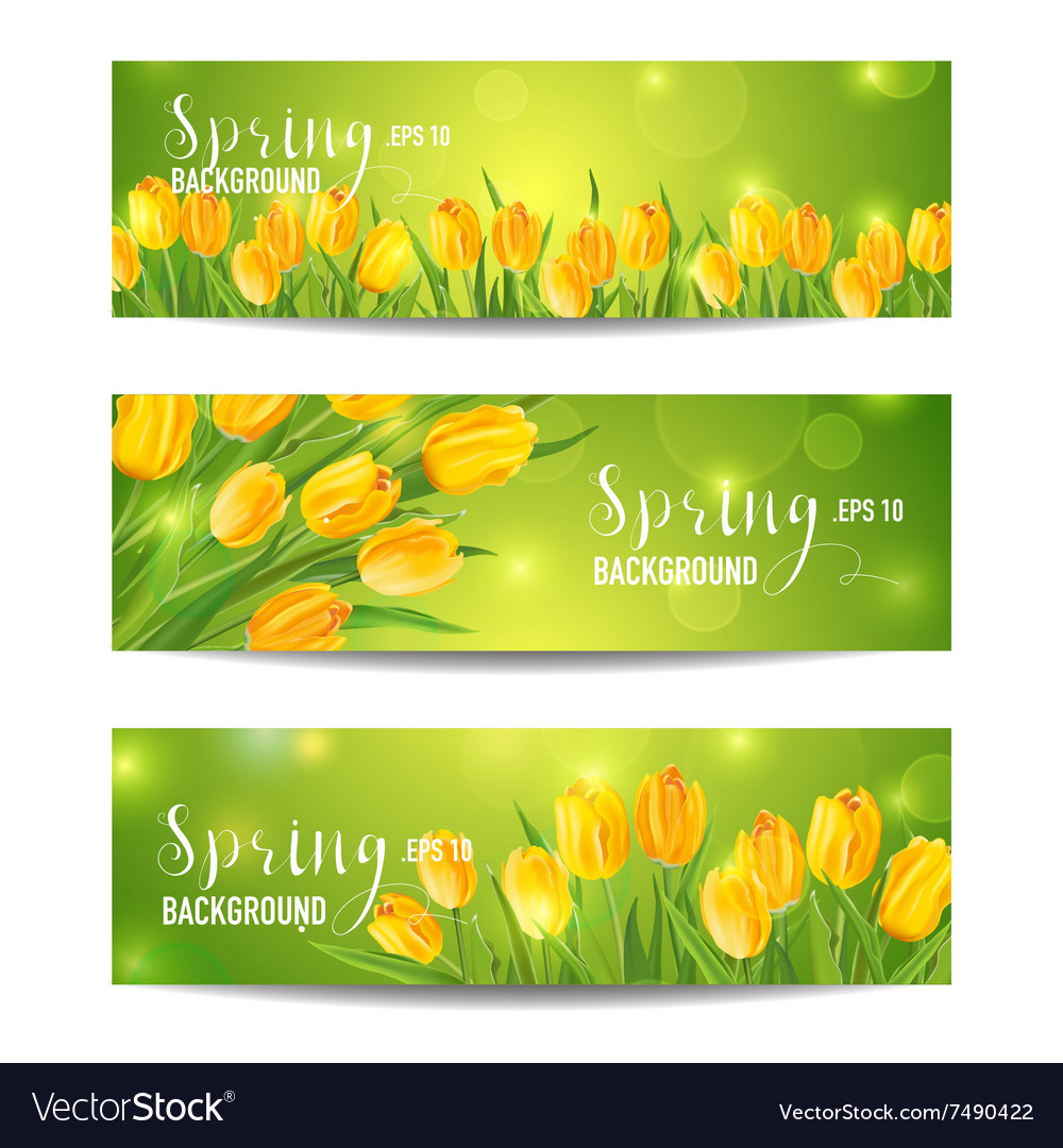 Spring Flower Banner Set - with Colorful Tulips Vector Image