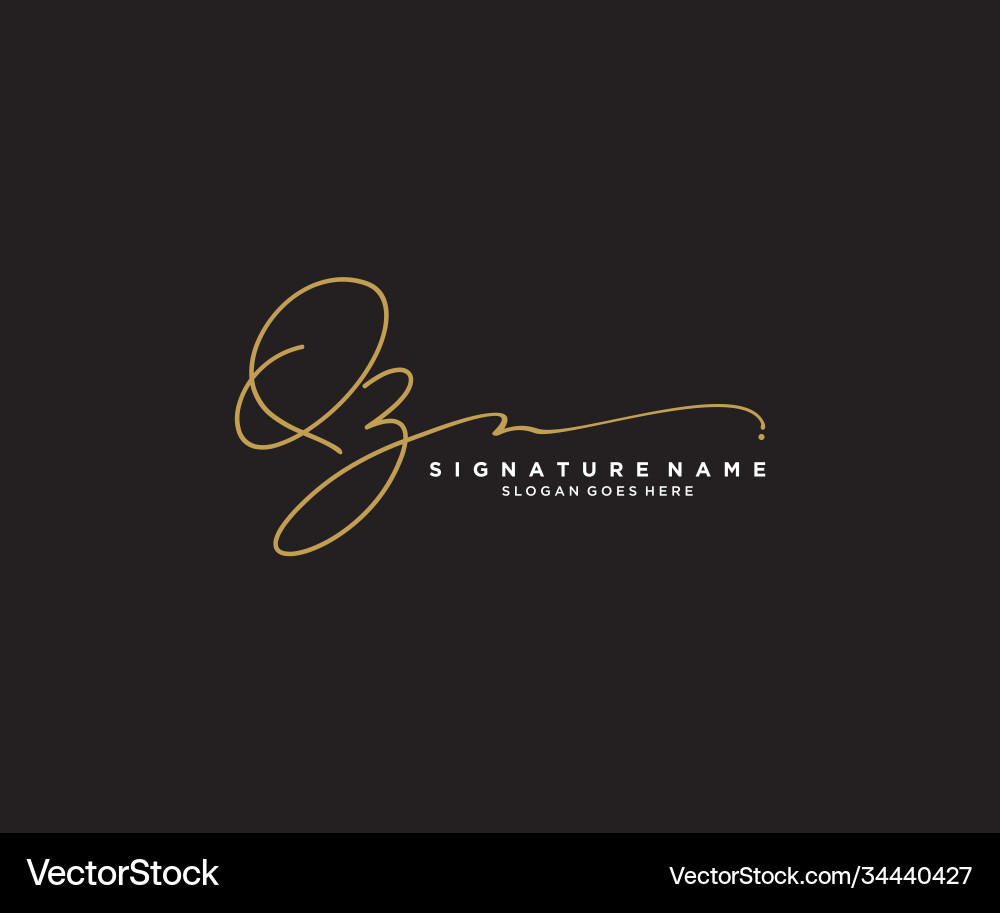 Letter qz signature logo template Royalty Free Vector Image