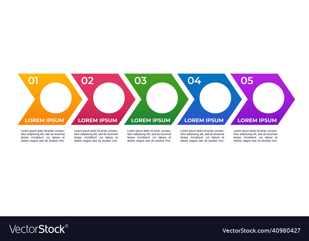Project management infographic chart design Vector Image
