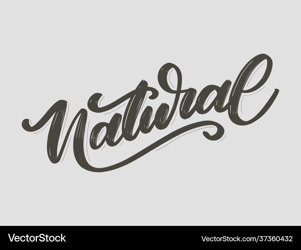 100 natural lettering stamp slogan calligraphy Vector Image