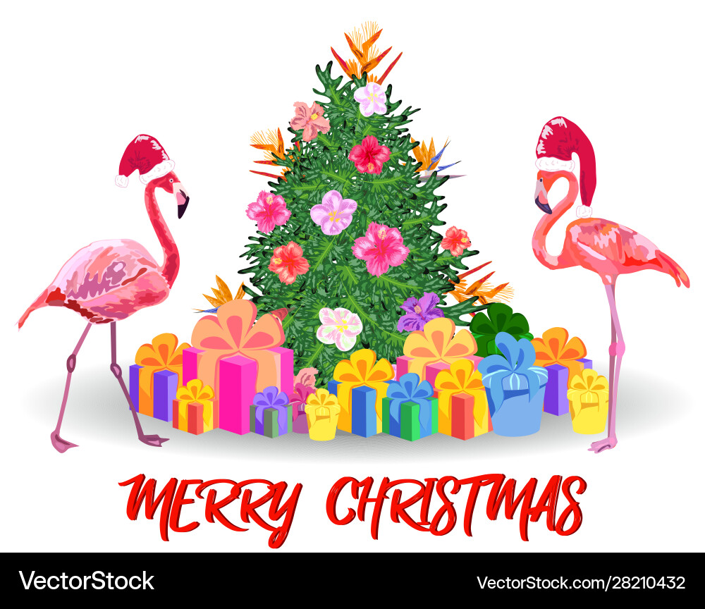 Christmas tree made tropical monstera leaves Vector Image