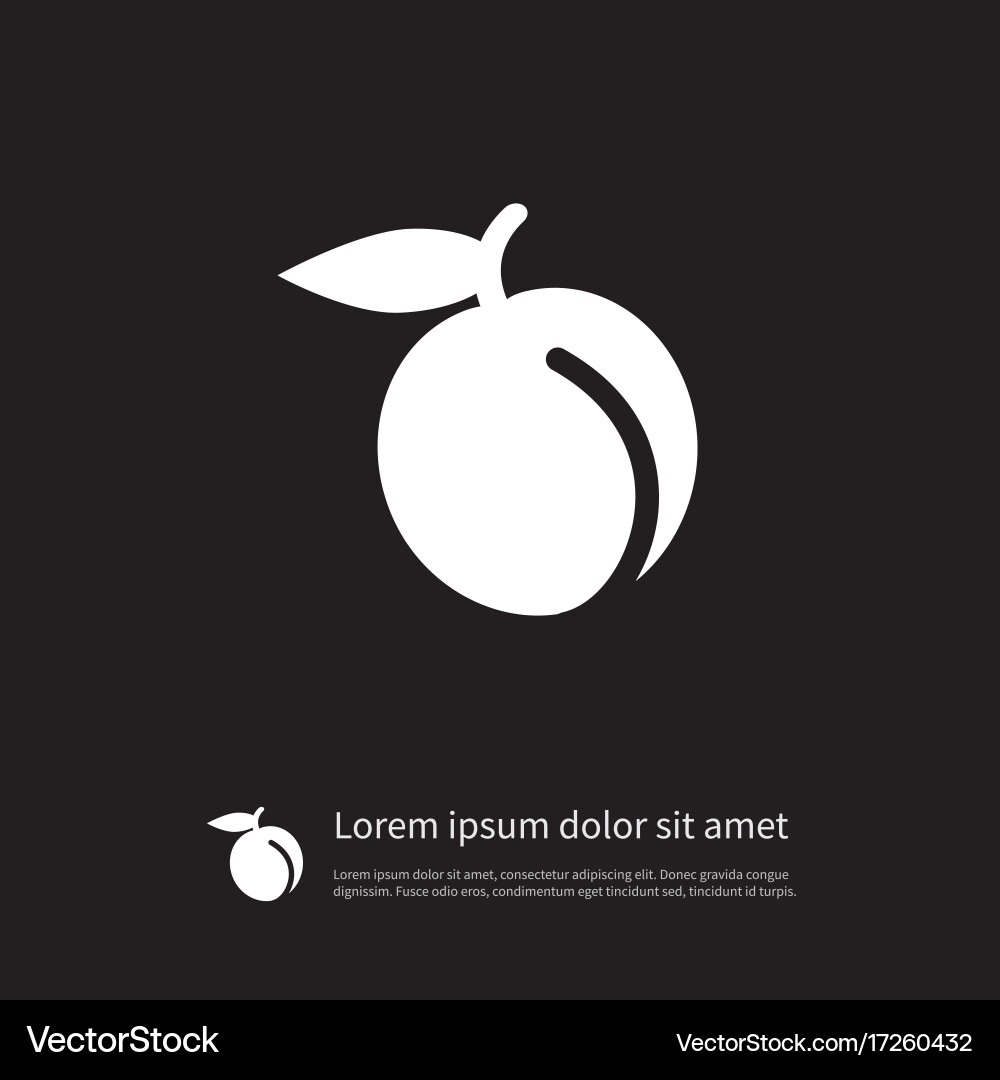 Isolated juicy icon apricot element can Royalty Free Vector
