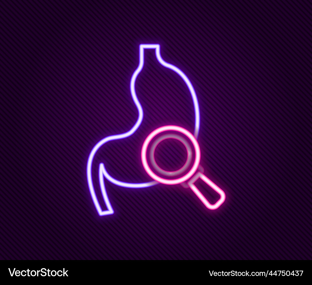 Glowing neon line human stomach with magnifying Vector Image