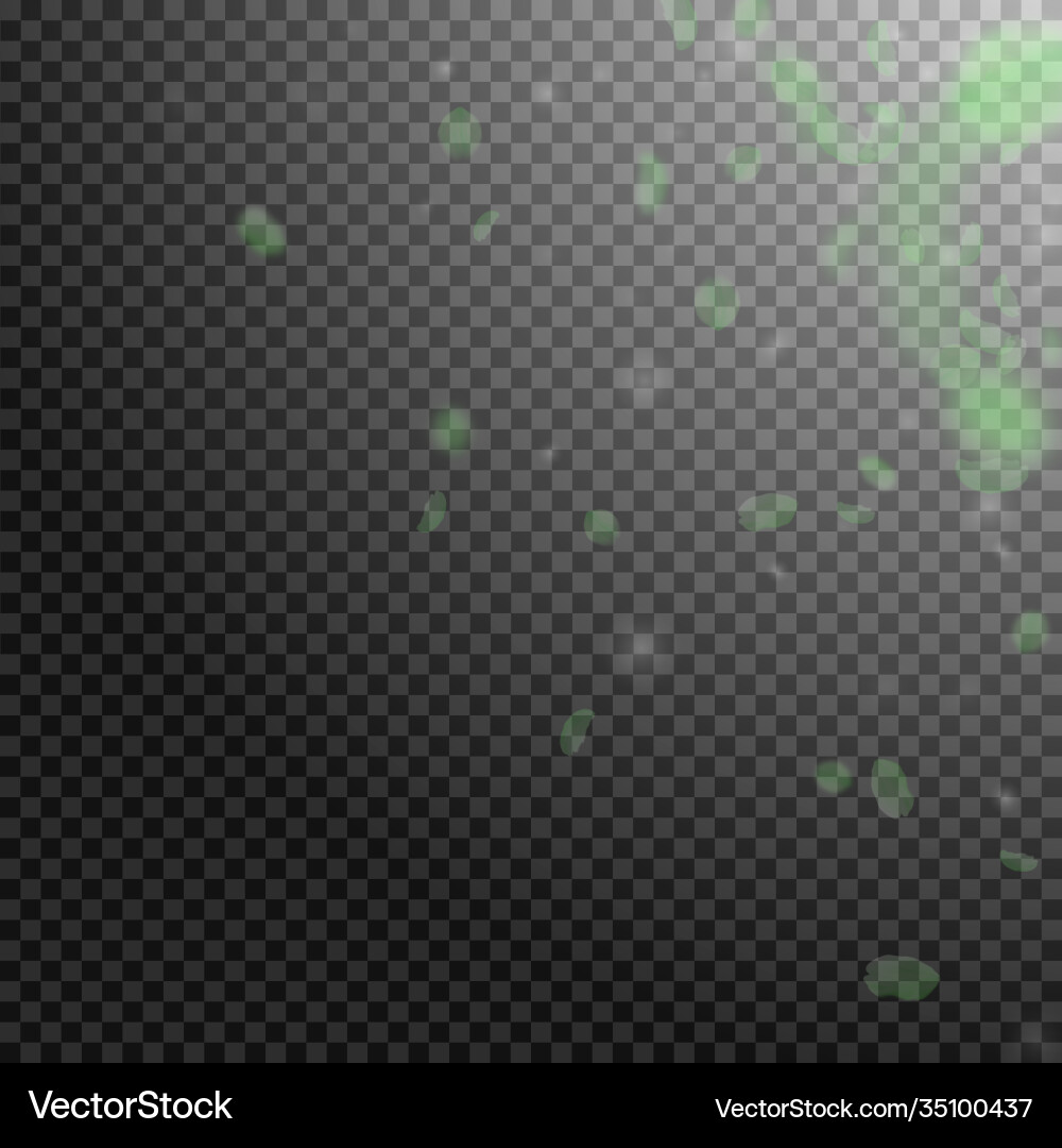 Green flower petals falling down terrific romanti Vector Image