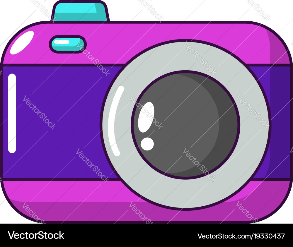 Photo camera icon cartoon style Royalty Free Vector Image