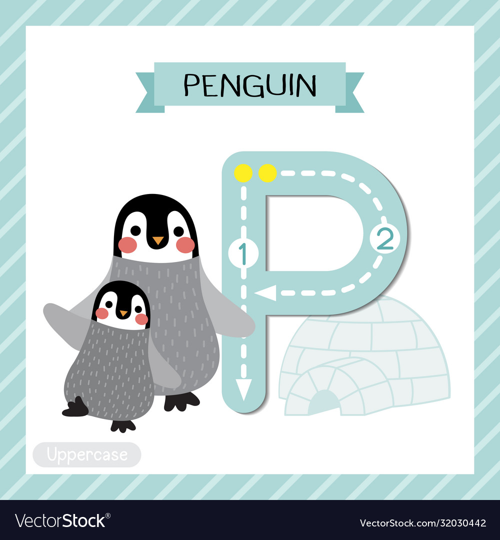 Letter p uppercase tracing penguin mother Vector Image