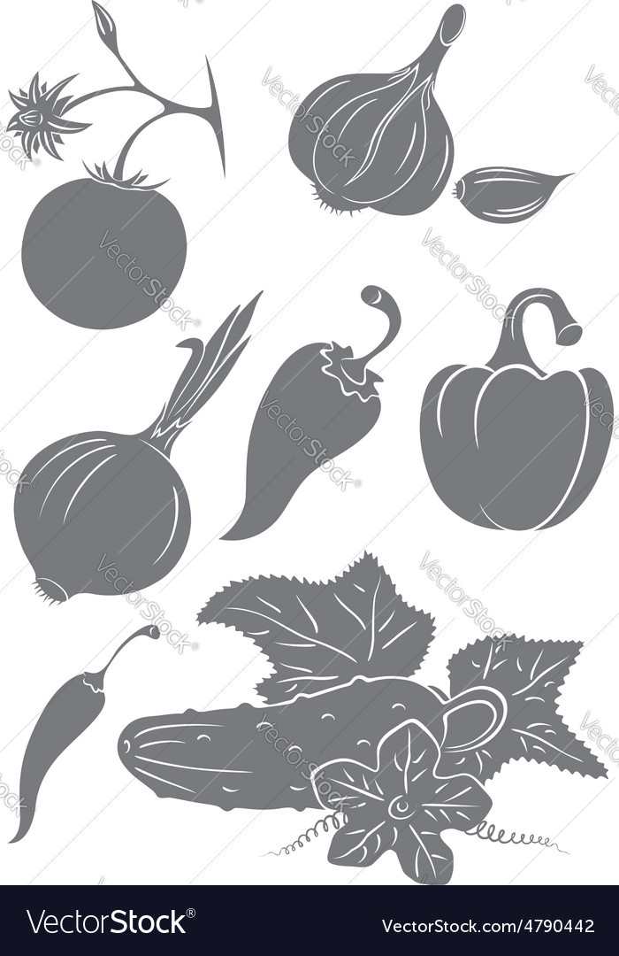Vegetables Royalty Free Vector Image - VectorStock
