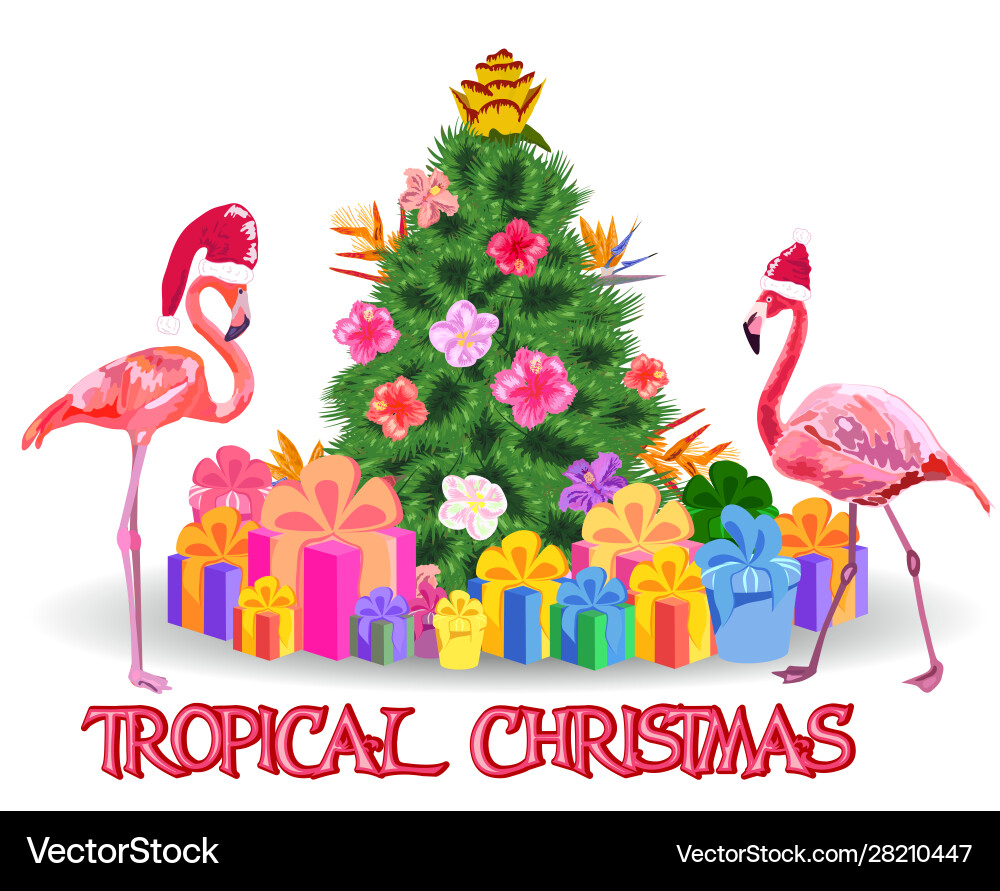 Christmas tree made tropical monstera leaves Vector Image