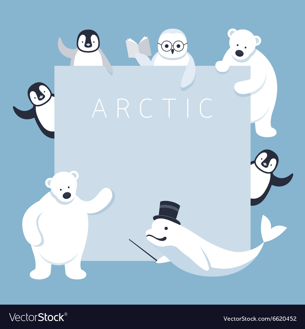 Arctic animals characters show presentation frame Vector Image