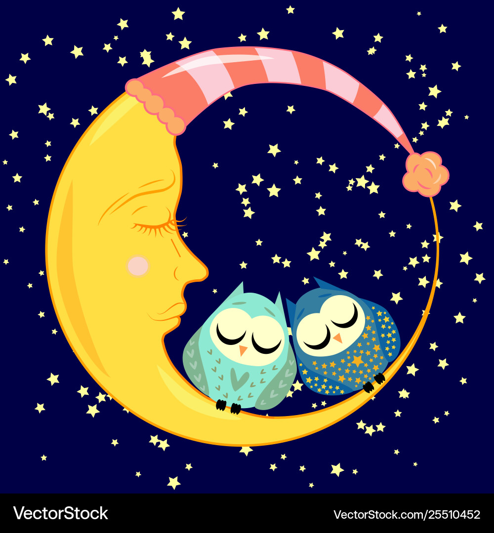 Cute cartoon sleeping owl in circles with closed Vector Image