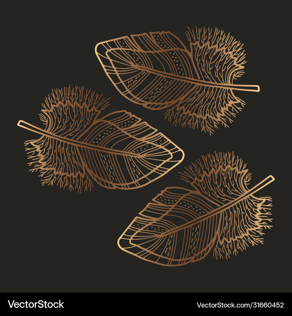 Golden feather line art with gold effect Vector Image