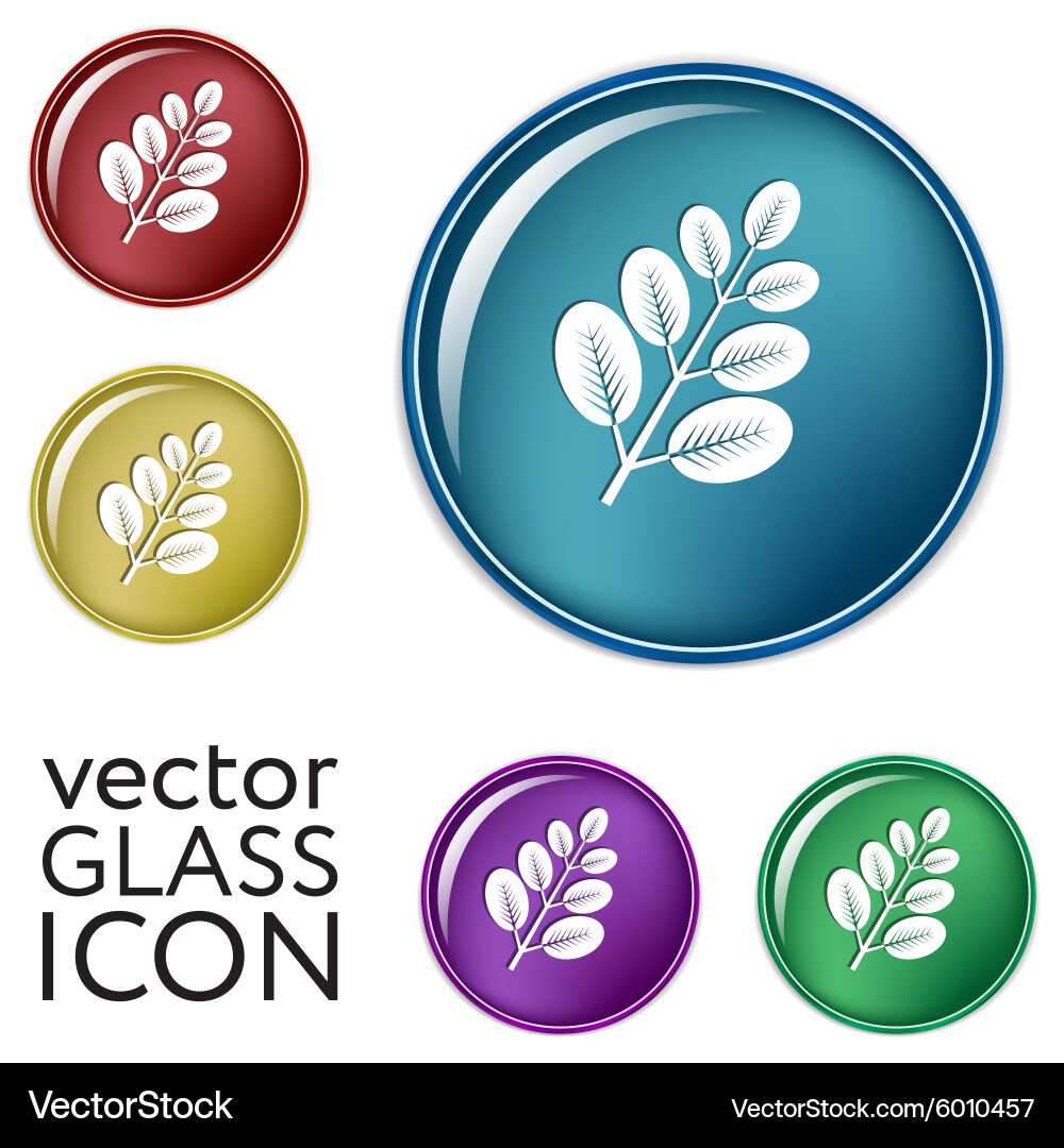 Branch with leaves symbol icon geometry teaching Vector Image