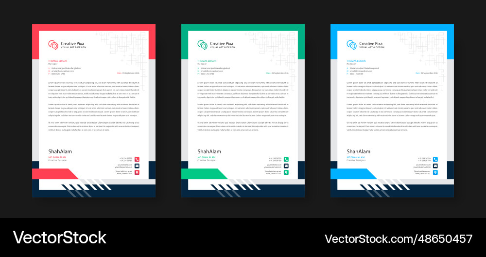 Minimal creative professional newsletter Vector Image