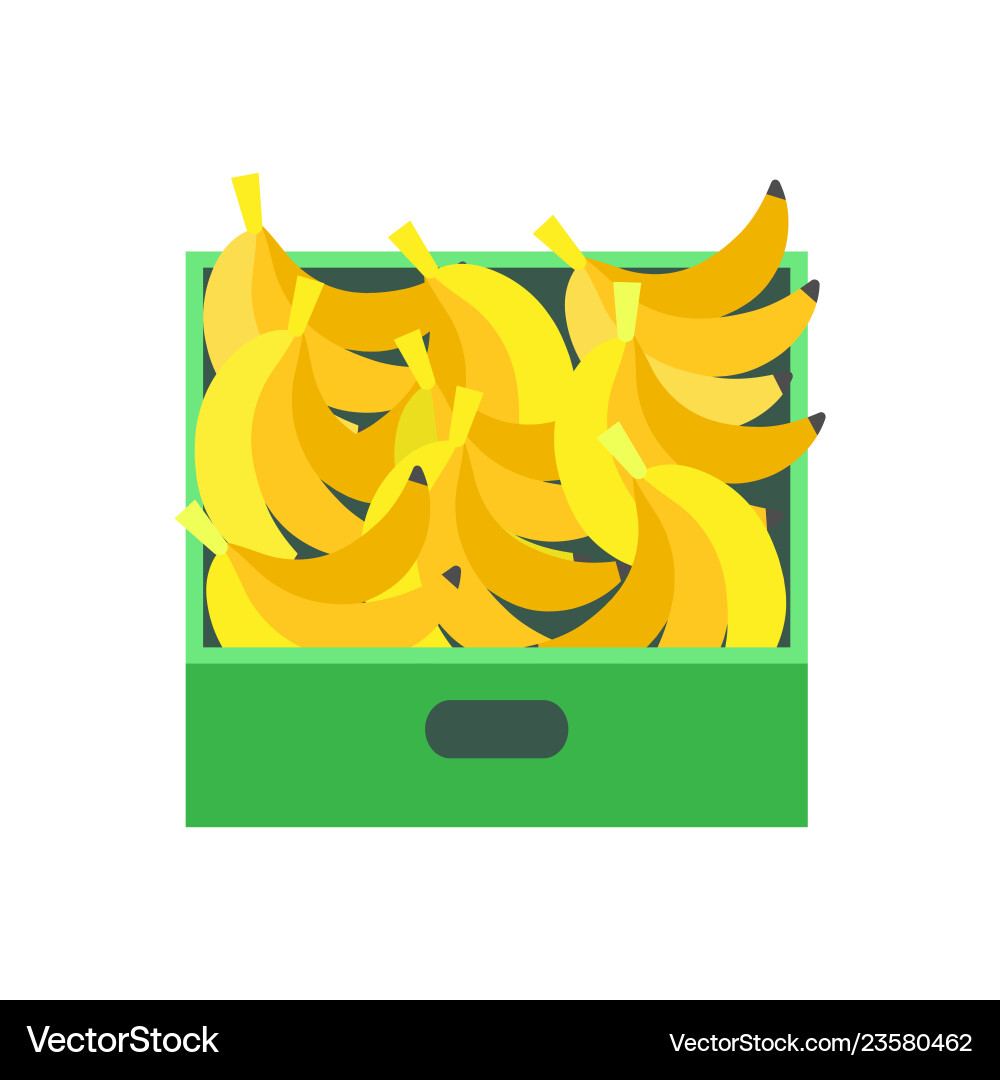 Banana tropical fruit in plastic container seller Vector Image